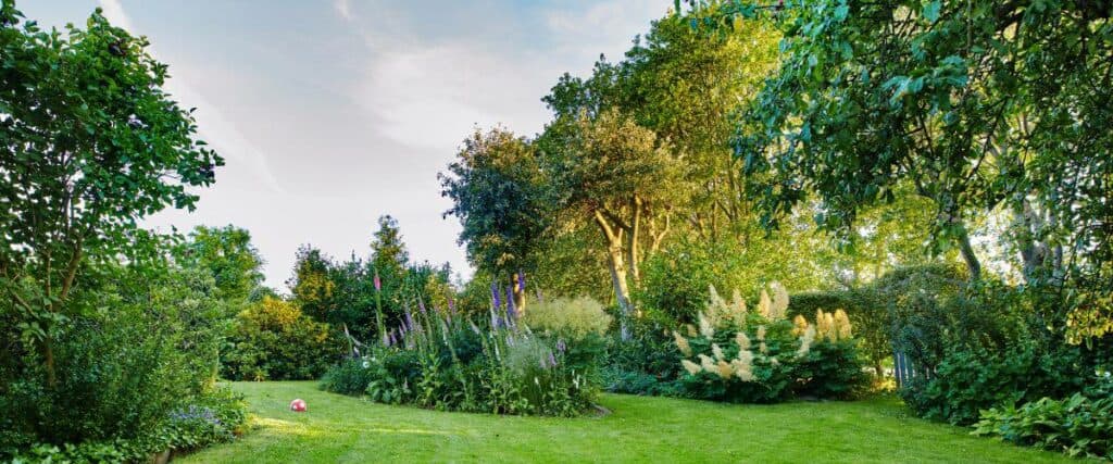 How Trees Can Enhance Your Property's Value | Viva Trees