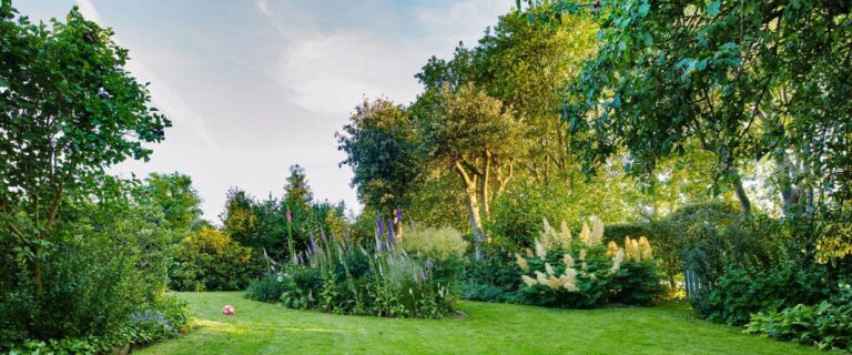 How Trees Can Enhance Your Property's Value | Viva Trees