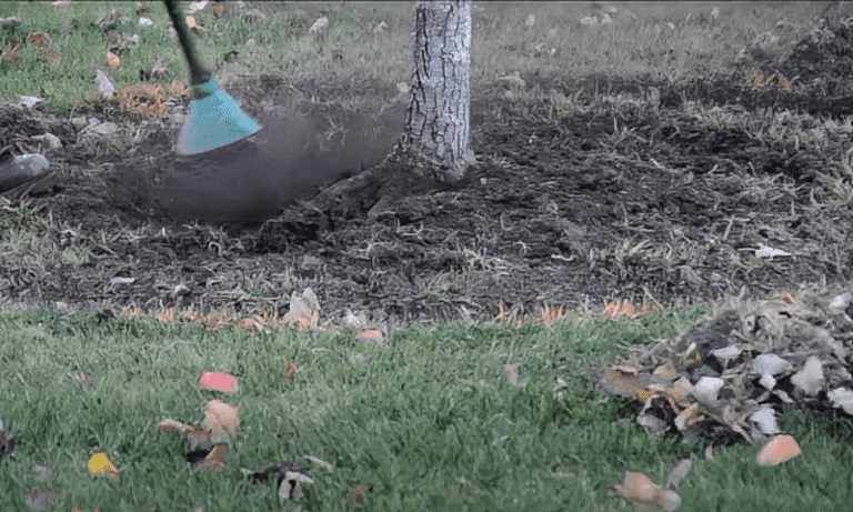 Professional Root Collar Excavation Services | Viva Trees