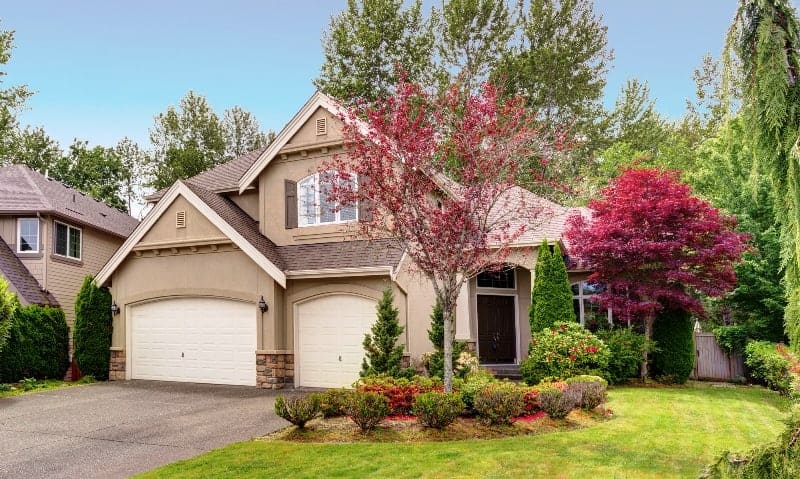 Corrective Tree Pruning | Viva Trees