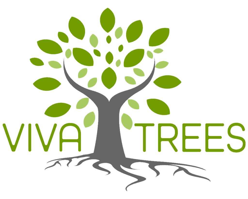 Tree Care & Arborist Company | Viva Trees