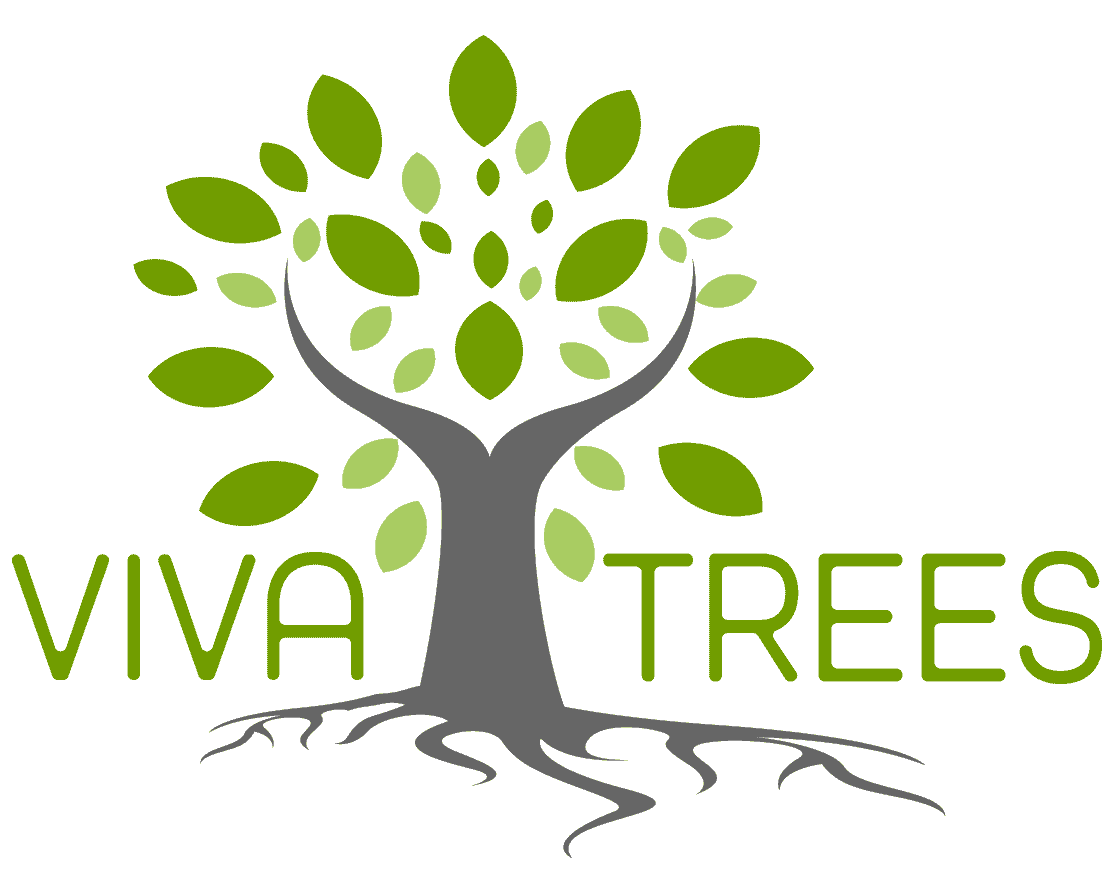 Tree Care & Arborist Company | Viva Trees