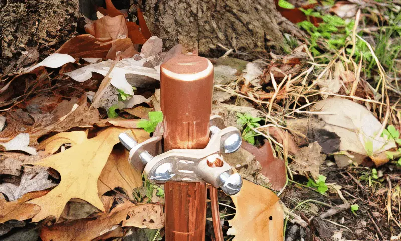 Lightning Protection Systems Installed | Viva Trees