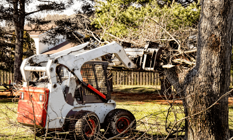 Emergency Tree Removal Services | Viva Trees