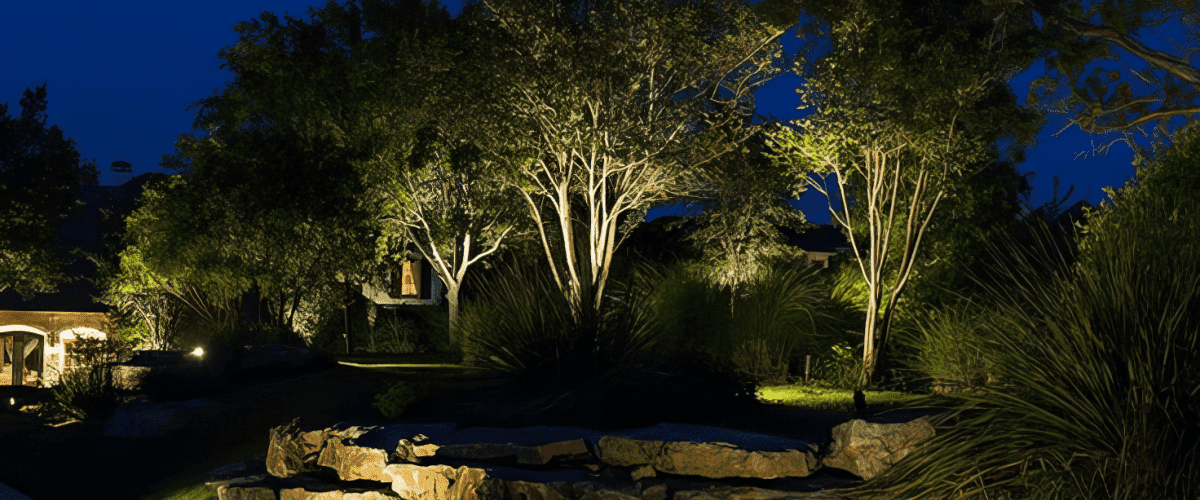 Illuminating Your Property: The Benefits of Professional Tree Lighting ...