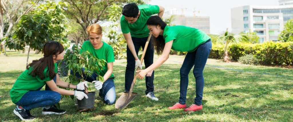 How Trees Benefit Our Cities | Viva Trees