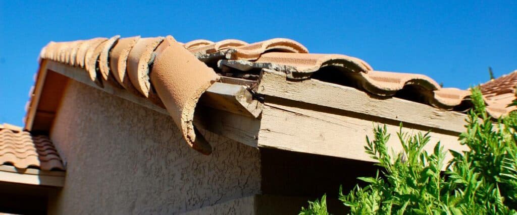 The Comprehensive Guide to Handling a Fallen Tree Emergency | Viva Trees