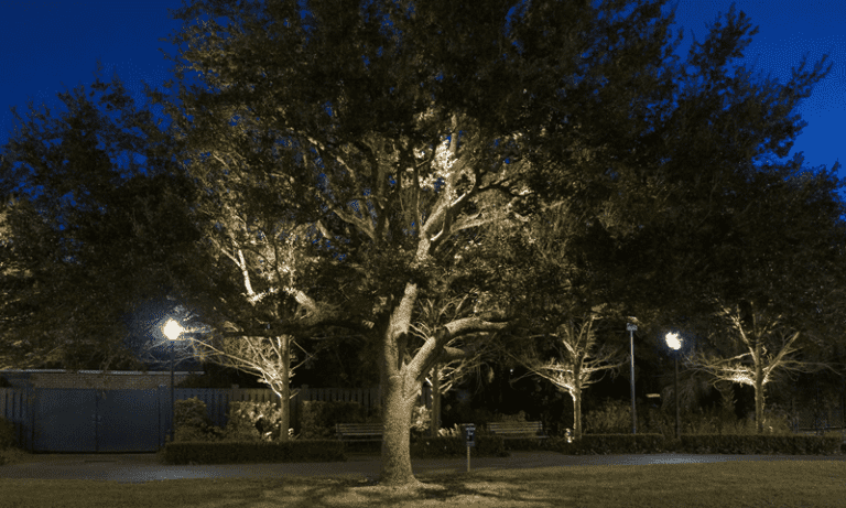 Professional Landscape Tree Lighting Services | Viva Trees