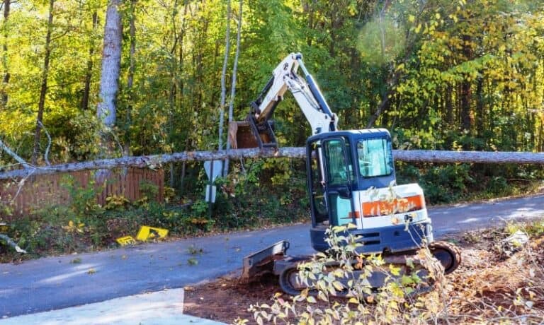 Emergency Tree Removal Services | Viva Trees