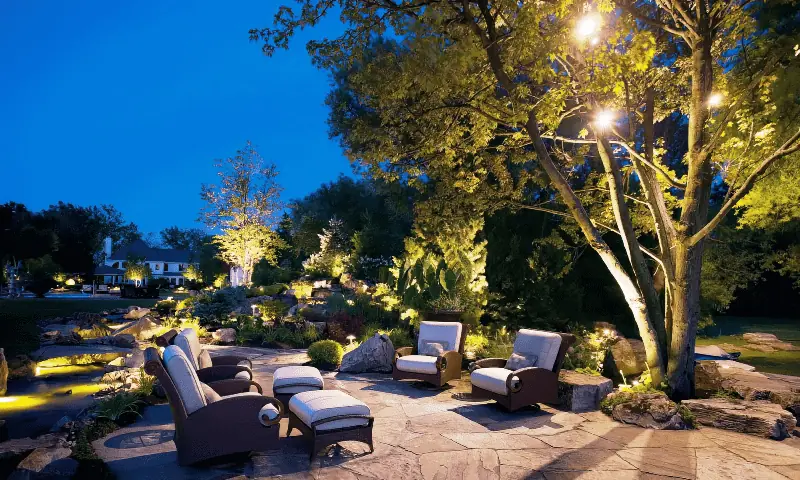 Professional Landscape Tree Lighting Services | Viva Trees