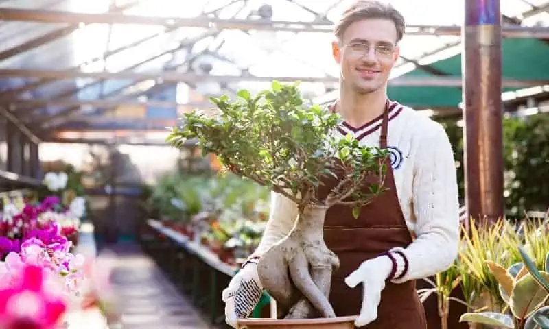 Tree Planning and Management Services | Viva Trees