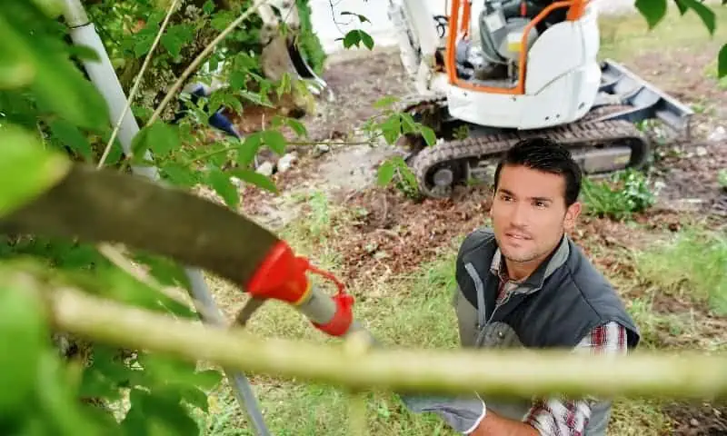 About Us | Viva Trees