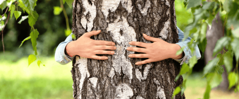 The Importance of Tree Preservation During Construction and Development ...