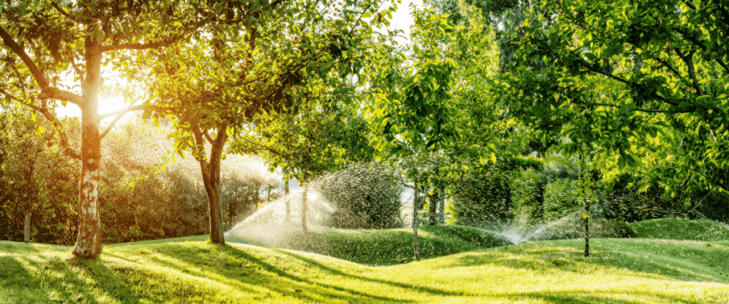 The Ultimate Tree Health Checklist: How to Keep Your Trees Strong and ...