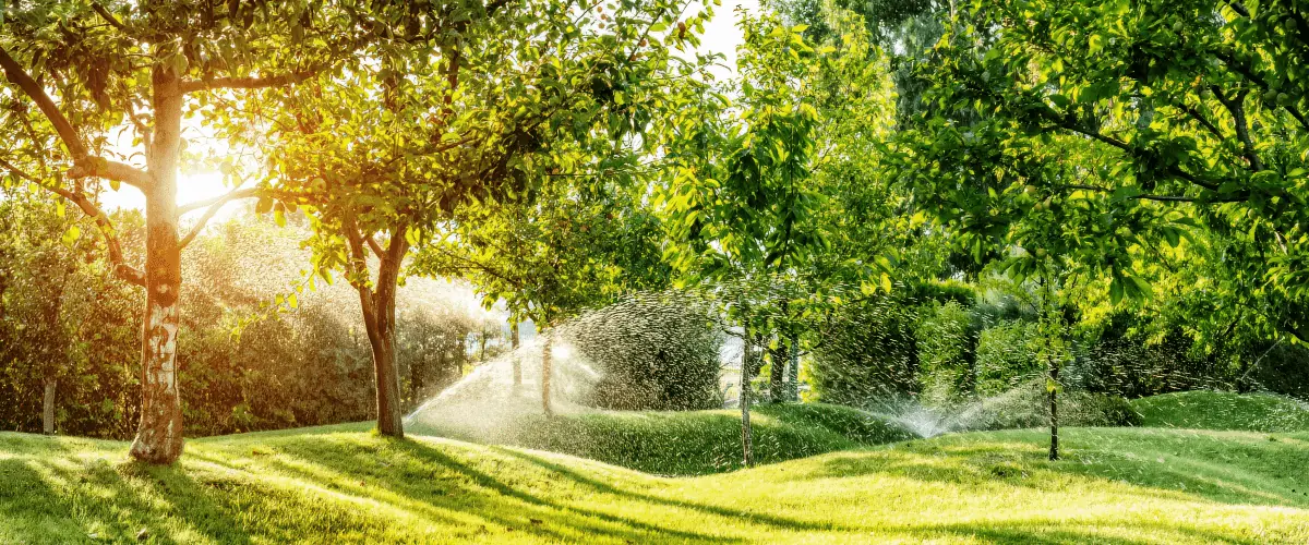 The Ultimate Tree Health Checklist: How to Keep Your Trees Strong and ...