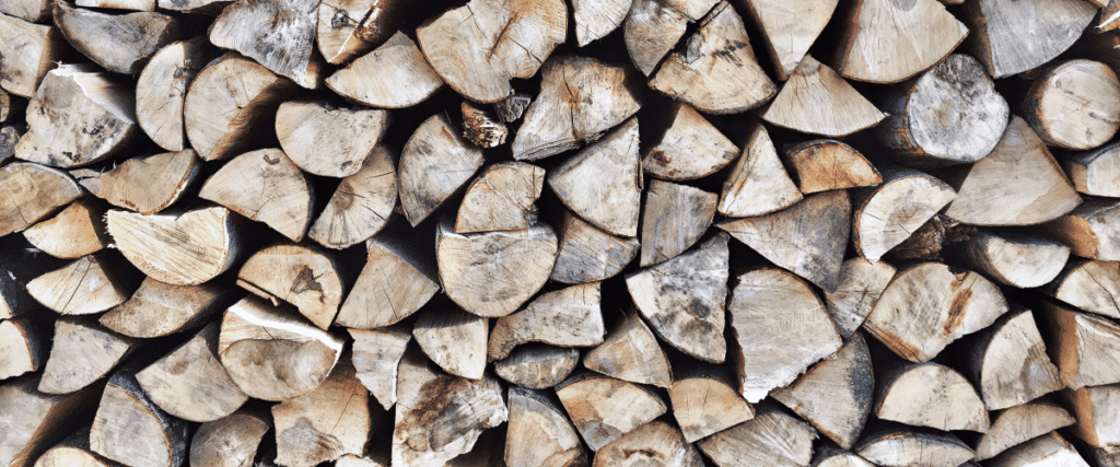 Recycling And Reusing Tree Materials: Turning Waste Into Value | Viva Trees