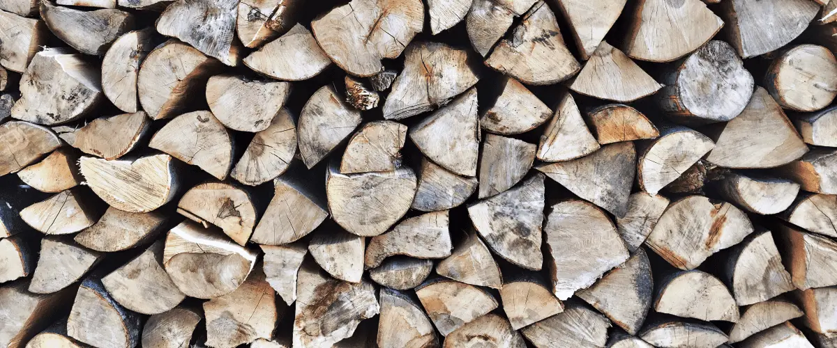 Recycling And Reusing Tree Materials: Turning Waste Into Value | Viva Trees