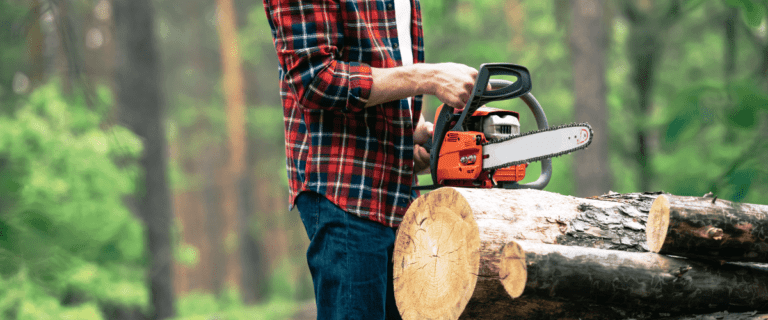 The Ultimate Guide to Tree Care & Maintenance | Viva Trees