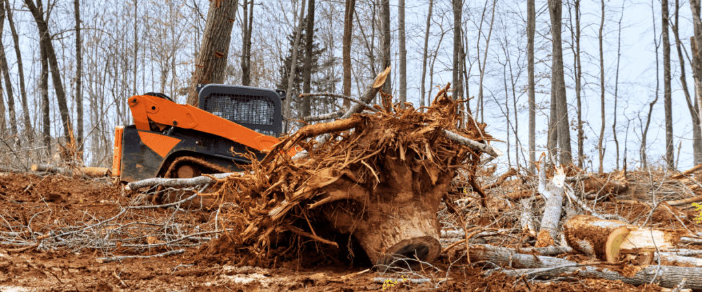 The Importance of Tree Preservation During Construction and Development ...