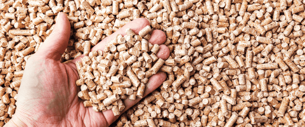 Recycling And Reusing Tree Materials: Turning Waste Into Value | Viva Trees